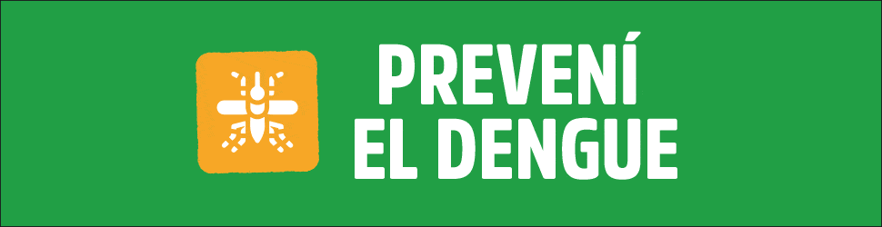 Aprueban un test nacional para detectar el virus del dengue: cómo ...